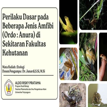 PPT Aldo Risky Pratama.pptx