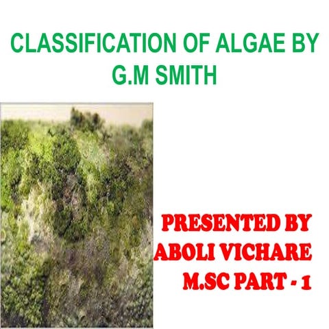 algae classification | PPTX
