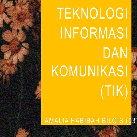 Ppt amel (1) | PPTX