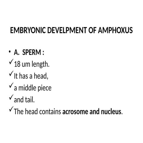 ppt amphiox embryo for zoology ug students | PPT