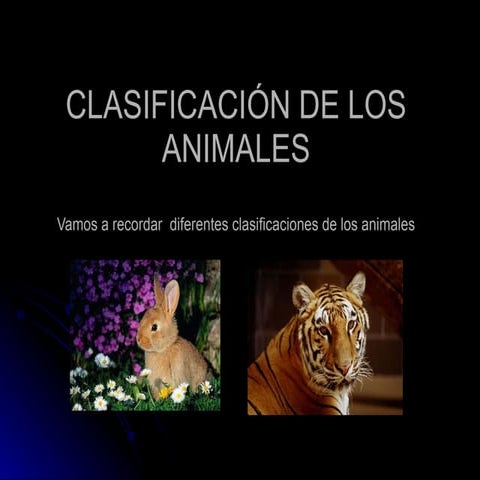 Animales | PPT