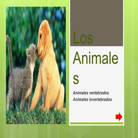 Ppt animales | PPTX