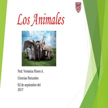 Ppt animales 1° | PPTX
