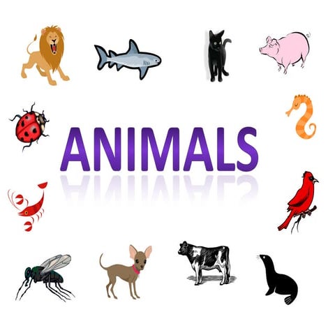 Ppt animals project | PPTX