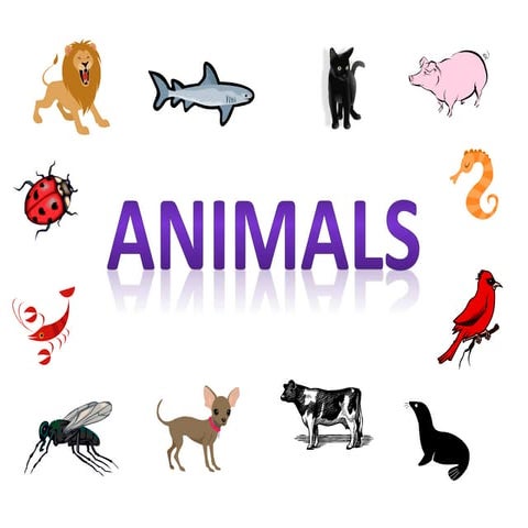 ANIMALS PROJET | PPT
