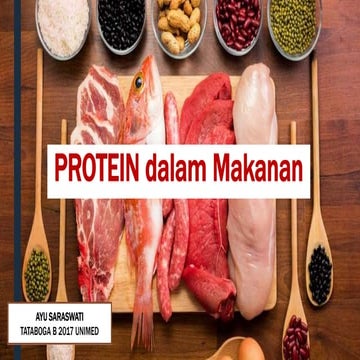 PPT PROTEIN | PPTX