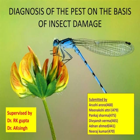 diagnosis of pest | PPTX