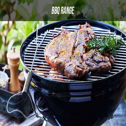 BBQ Range | PPTX