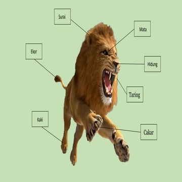 PPT BAGIAN TUBUH HEWAN DAN FUNGSINYA.pptx