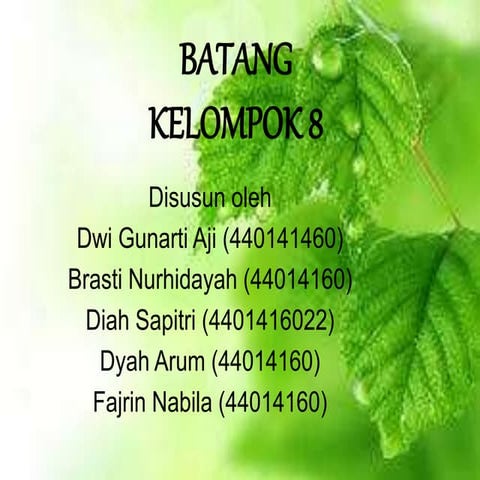 PPT Morfologi Tumbuhan - Tata Letak, Rumus, dan Diagram Daun | PPTX