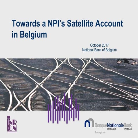 Towards a NPI’s Satellite Account in Belgium | PPTX