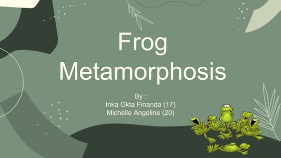 The Life cycle of frog | PPT