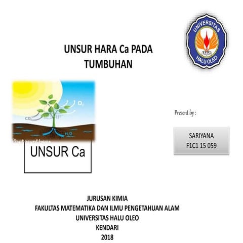 Ppt bioanorganik unsur ca | PPTX