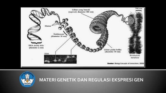 substansi genetika | PPT