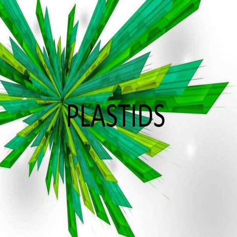 PPT ABOUT PLASTIDS | PPTX