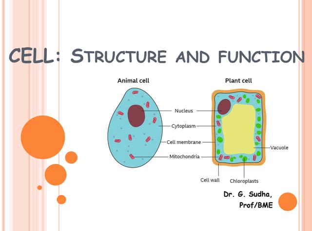 Cell: Structure & Function | PPTX