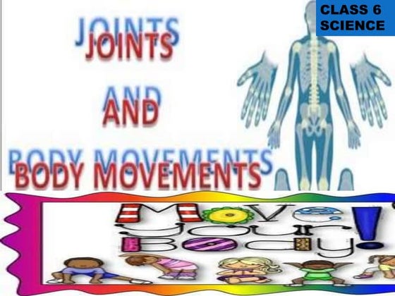 Muscoloskeletal System- Science Grade 6.pptx | Bone and Joint ...