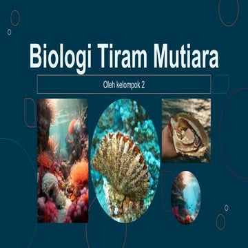Tiram mutiara merupakan hewan berjenis invertebrata dan termasuk ...