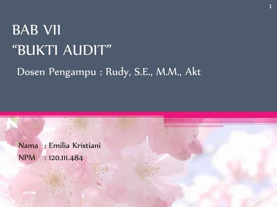 THE OVERALL AUDIT PLAN and AUDIT PROGRAM.pptx