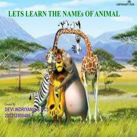 Power Point About Animals | PPTX
