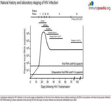 Immune Response to HIV | PPTX