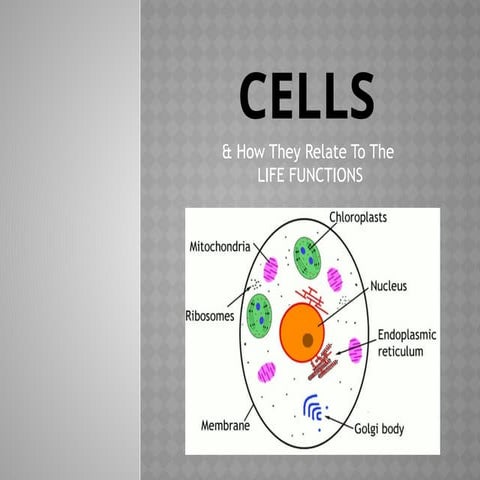 cell theory, scientists and cell structure | PPT