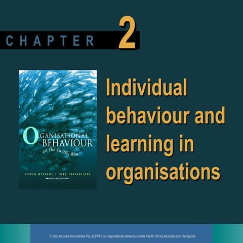 Organizational Behavior CH 02 | PPT
