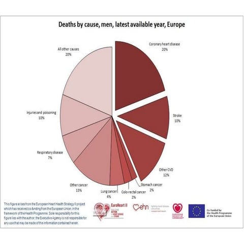 Chapter 1 - Mortality | PPTX | Death, Injury, or Military Conflict ...