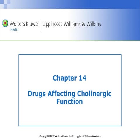 Ppt chapter 14 | PPT | Eye and Vision Conditions | Diseases and Conditions