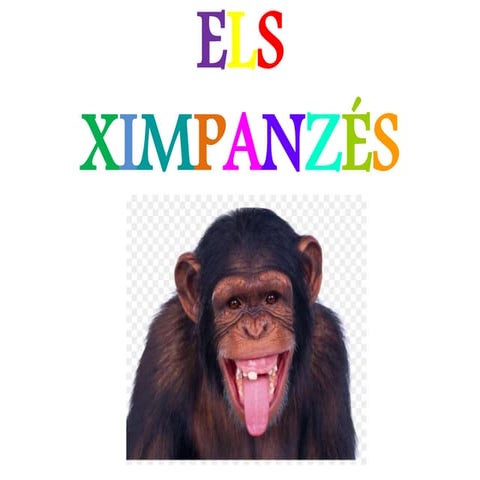 Ppt chimps | PPT