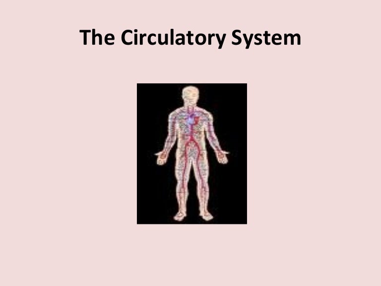 Ppt Circulatory System