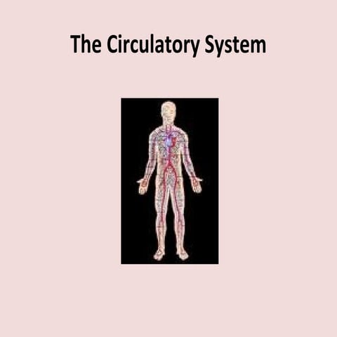 Ppt circulatory system | PPT