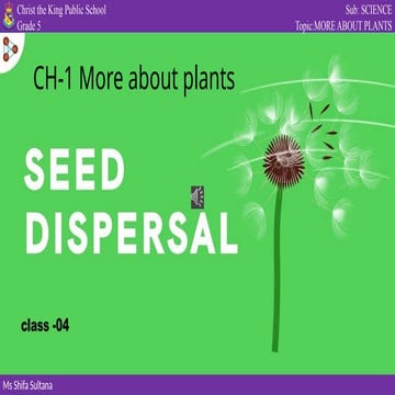 Reproduction in plants - seed dispersal method | PPTX