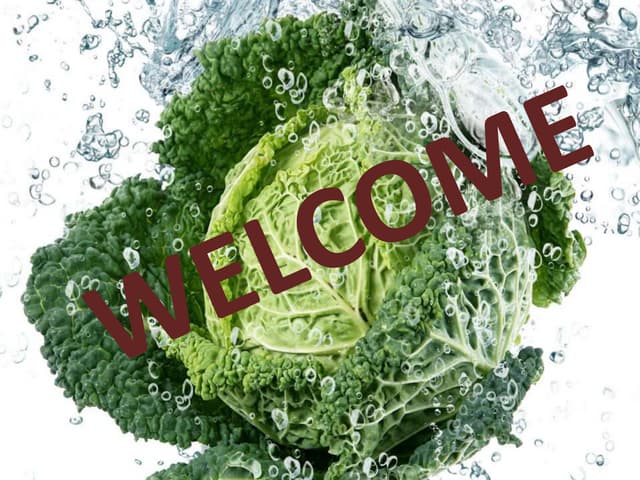 Off season vegetable production | PPTX