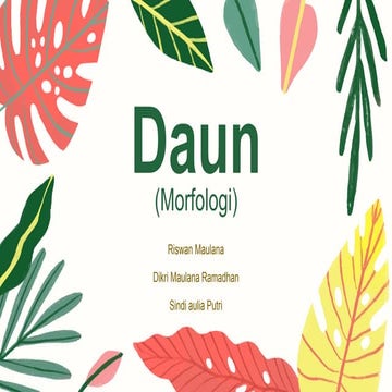 DAUN(morfologi).pptx