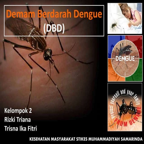 Power Point Demam Berdarah Dengue (DBD) | PPTX