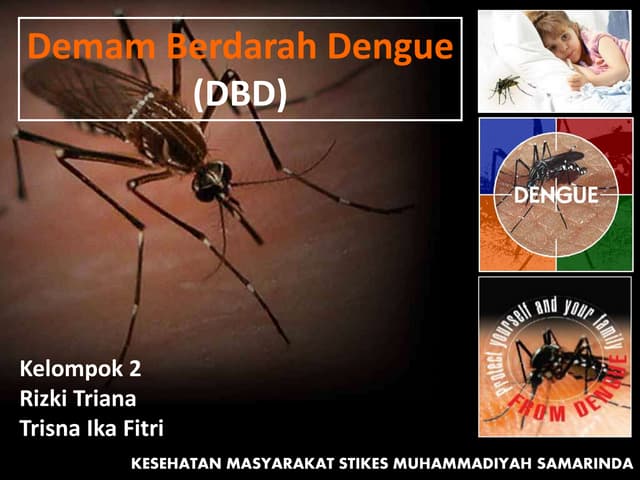 Power Point Demam Berdarah Dengue (DBD) | PPTX