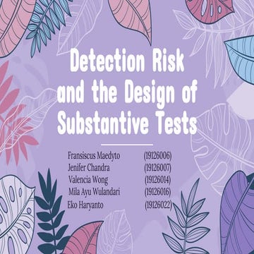 PPT Detection Risk and the Design of Substantive Tests.pptx