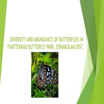 PPT DIVERSITY AND ABUNDANCE OF BUTTERFLIES IN THATTEKKAD BUTTERFLY PARK ...