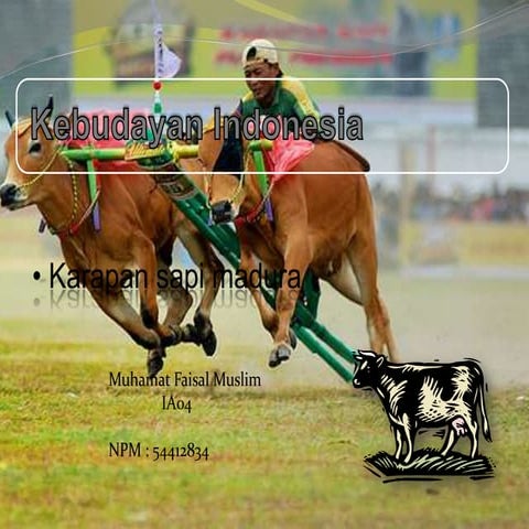 kerapan sapi.pptm | PPTX