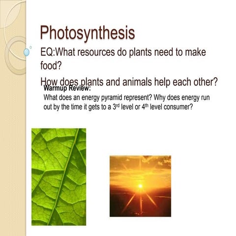 Ppt Ecol Photosynthesis | PPTX | Chemistry | Science