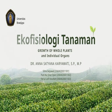 PPT EKOFISIOLOGI Growth of Whole Plants and individual organs | PPTX
