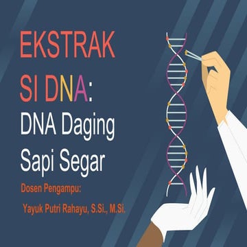 Ekstraksi DNA: DNA Daging Sapi Segar.pptx