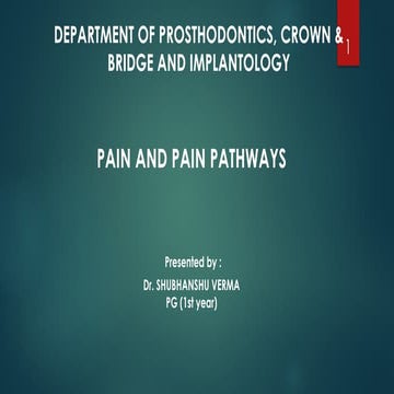 ppt final pain and pain pathways seminar | PPTX