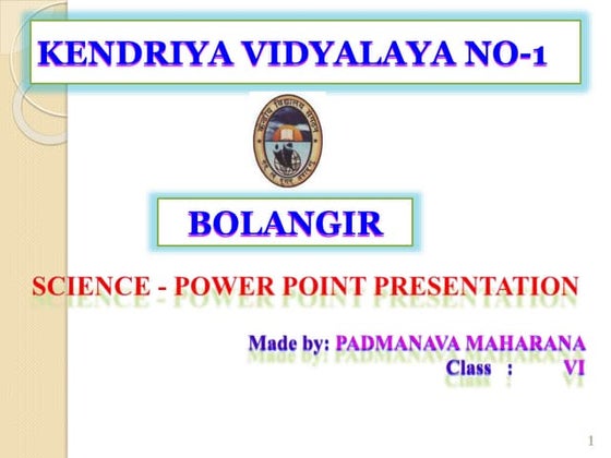 Presentation on source of food | PPTX