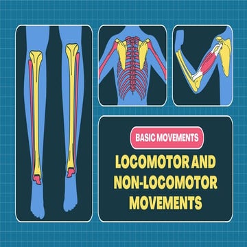 Locomotor and Non-locomotor movements.pdf