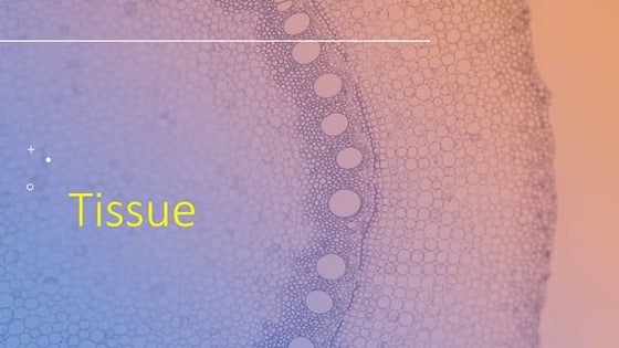 Class 9 tissue chapter 6 | PPT