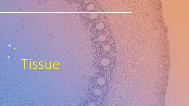 Class 9 tissue chapter 6 | PPT