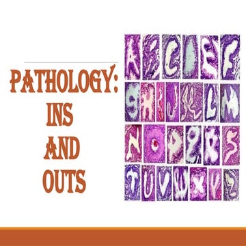 Pathology specimen handling and process of making slides | PPTX
