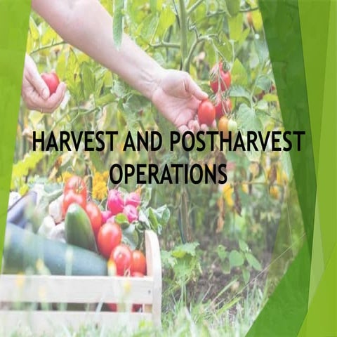 Harvesting-and-Post-Harvesting.ppt